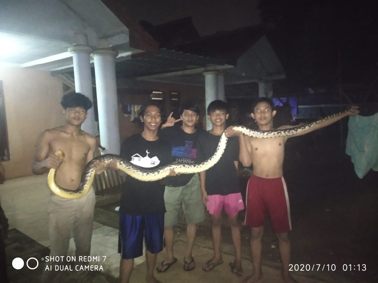 Kisah Remaja di Tangsel Tangkap Ular Sanca 4 Meter