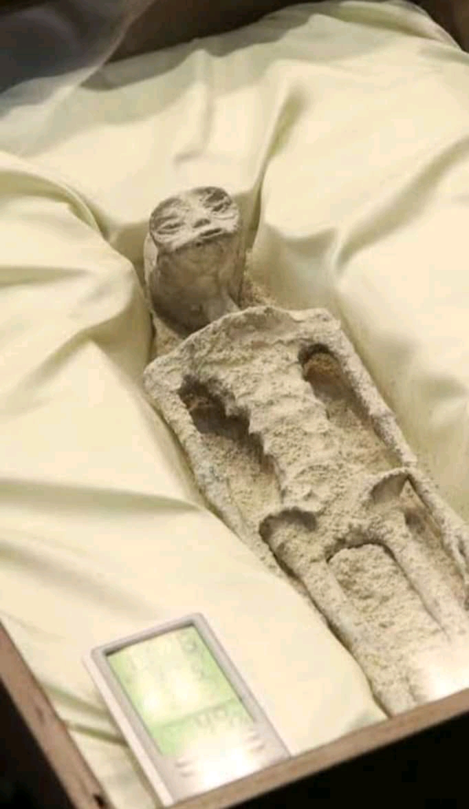 Viral Muncul Alien di Ruang Sidang Meksiko, Ini Faktanya