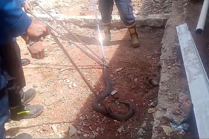 Lagi Bersihkan Rumah, Warga Perum Bumi Mas Raya Tangerang Dikejutkan ...