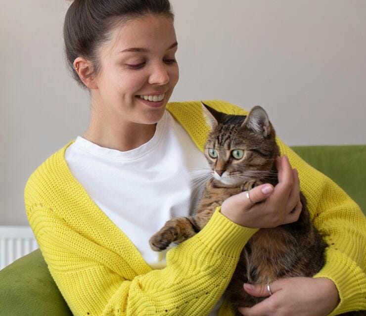 Wow, Di Negara Ini Memeluk Kucing 4 Jam Sehari Bisa Dibayar Rp162 Juta