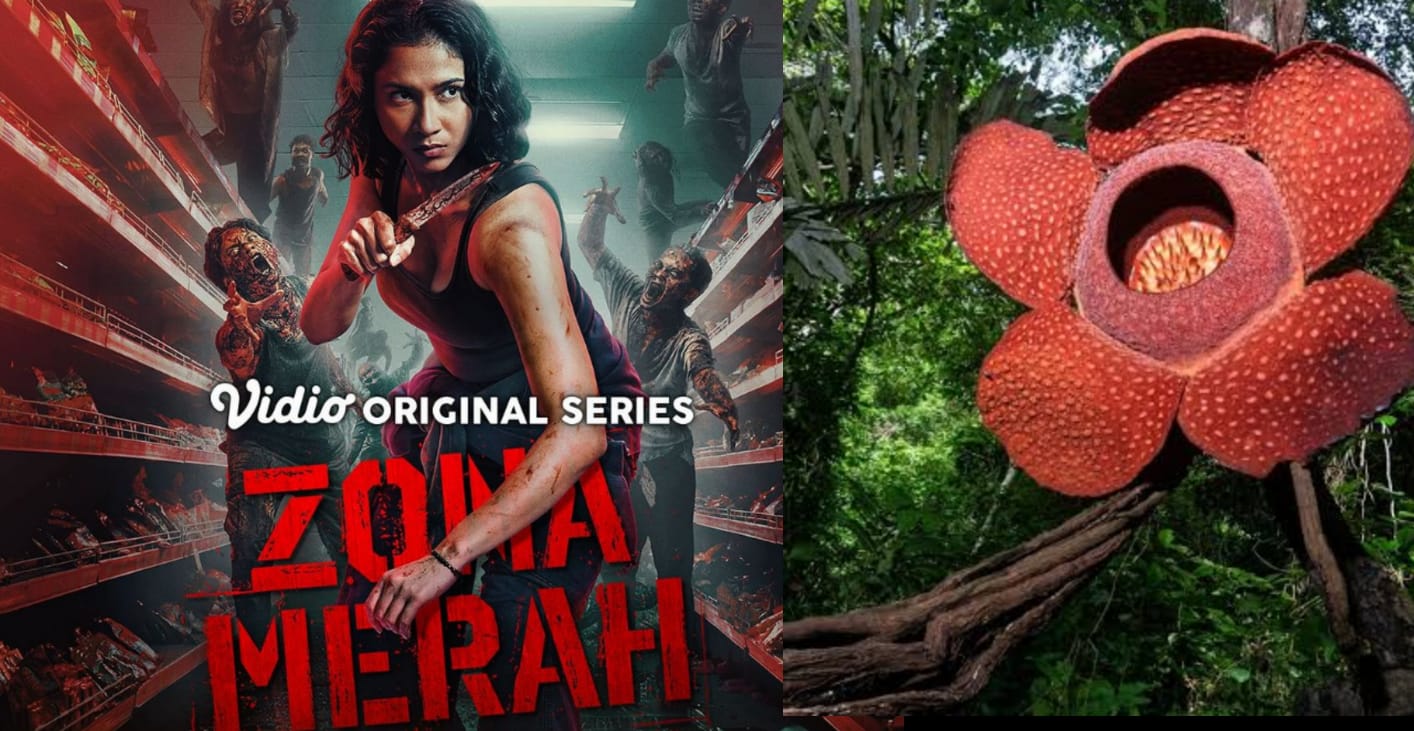 Mengenal Bunga Rafflesia Arnoldii yang Jadi Penyebab Wabah Zombie di ...