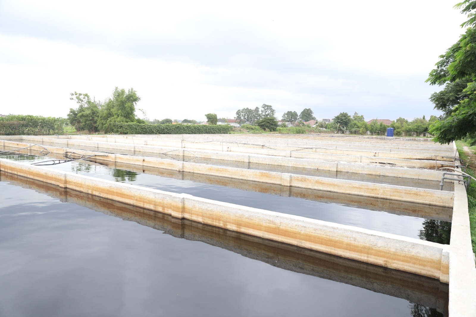 TPA Rawa Kucing Segera Operasikan Teknologi Pengolah Sampah Jadi Bahan ...