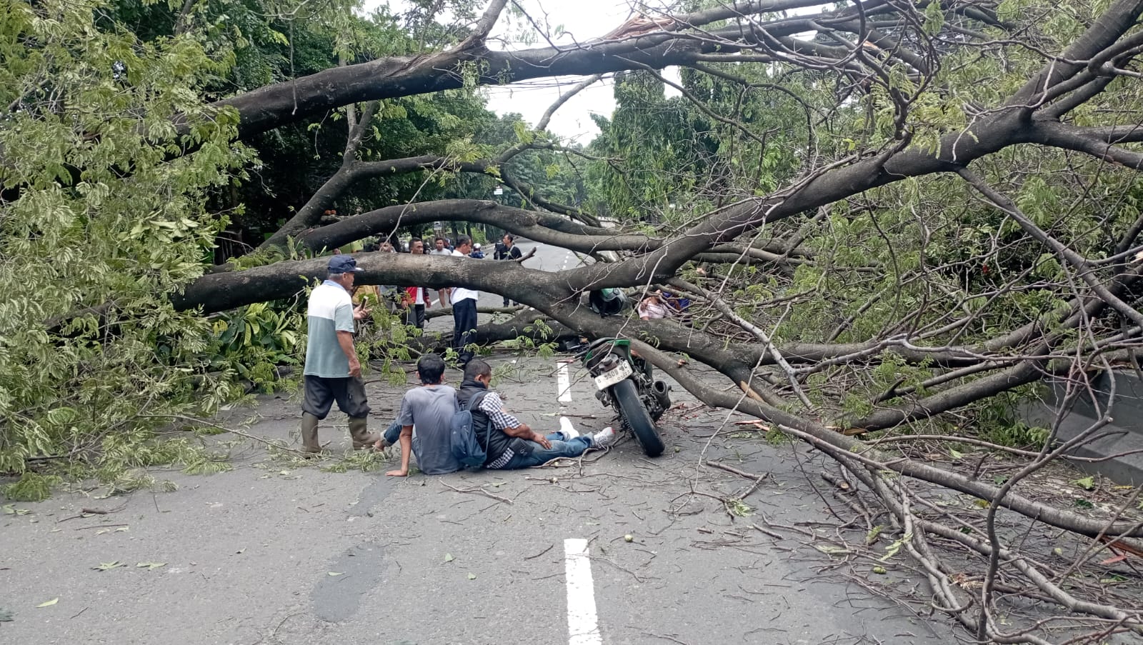 3 Pemotor Luka Parah Tertimpa Pohon Tumbang di Jalan MH Thamrin Kota Tangerang